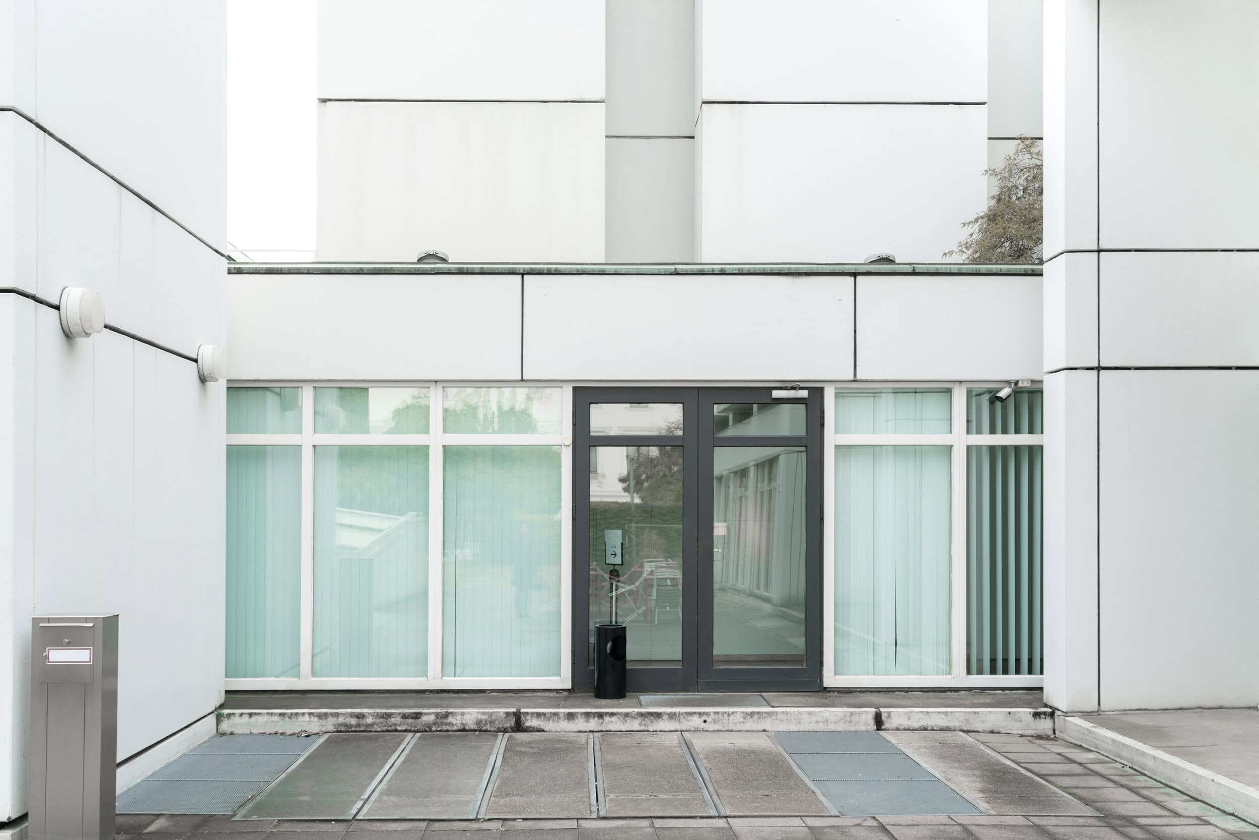 Salt, Slush, and Safety: Protecting Your Barrie Floors This Winter | Waggs